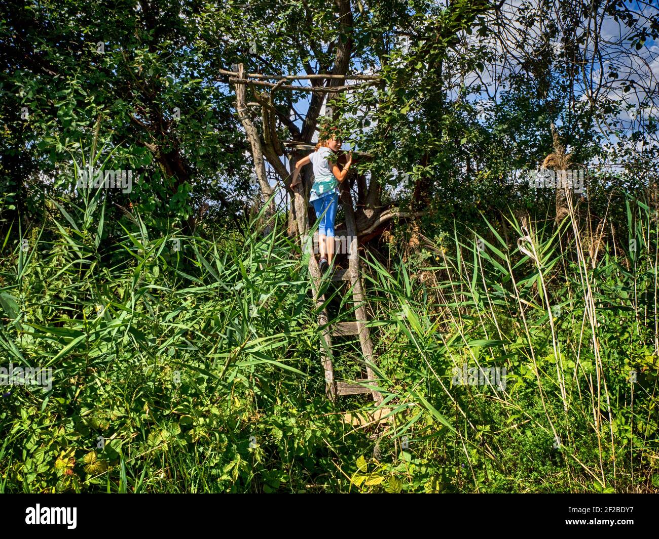 Person climbing a ladder hi-res stock photography and images - Alamy