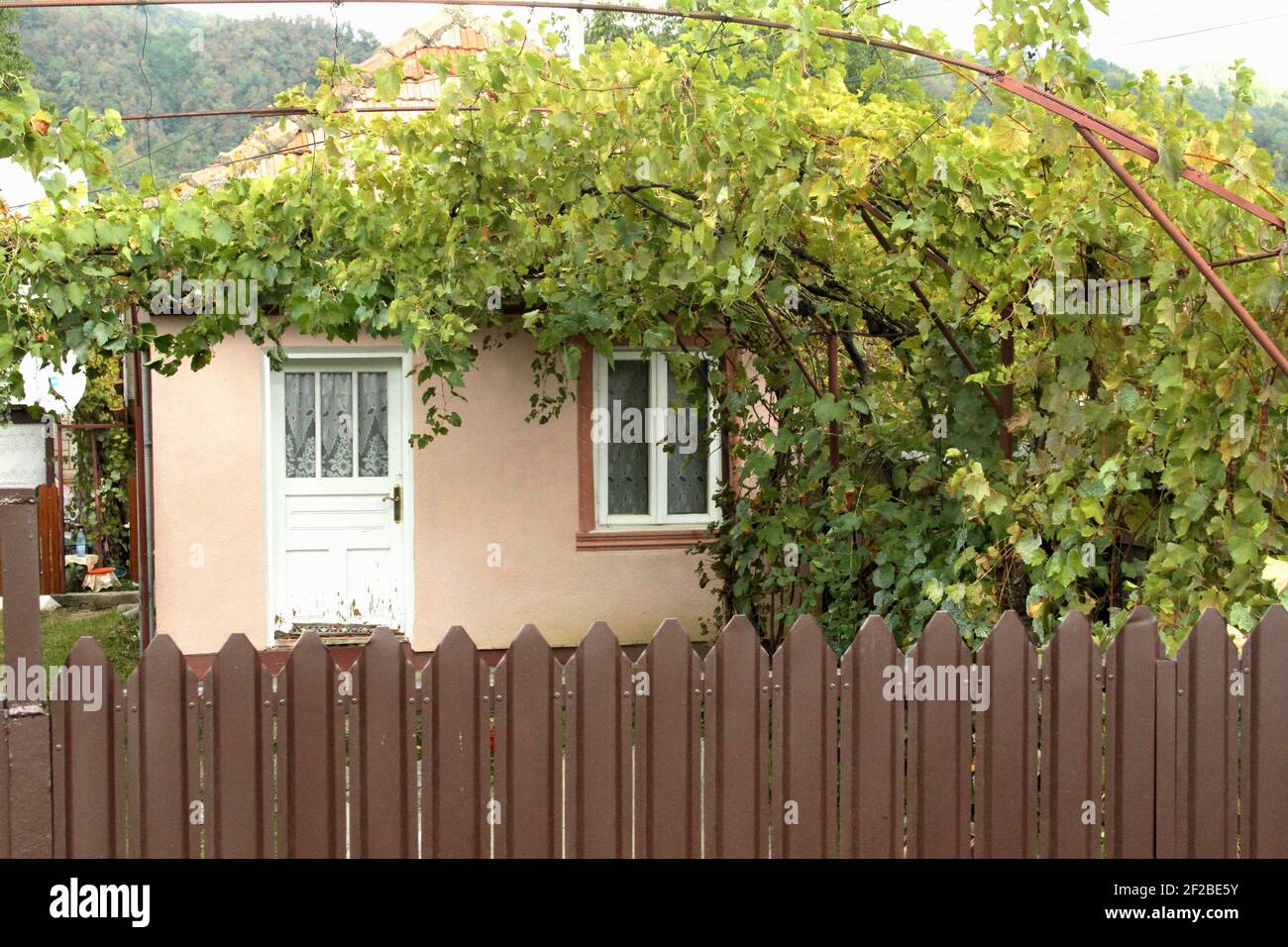 Canopy cultivation hi-res stock photography and images - Alamy