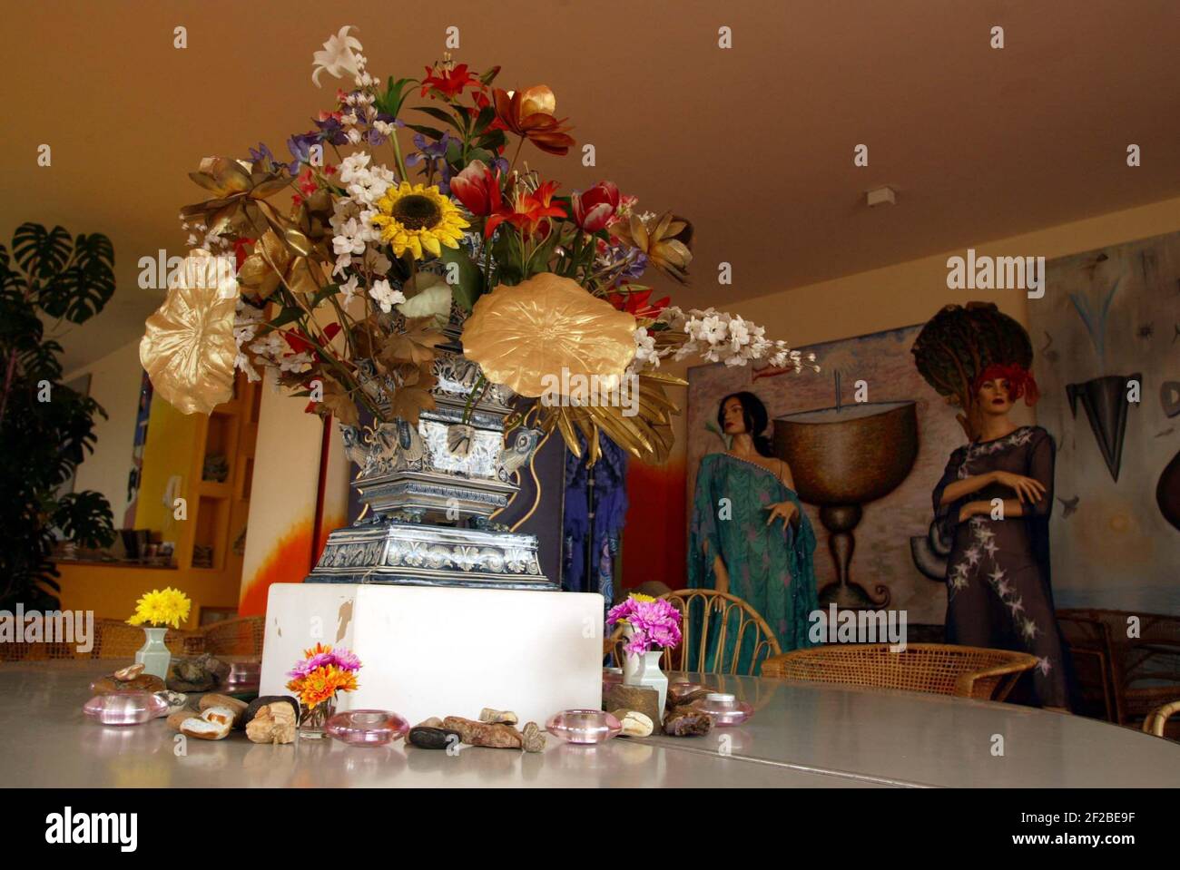 Zandra rhodes home hi-res stock photography and images - Alamy