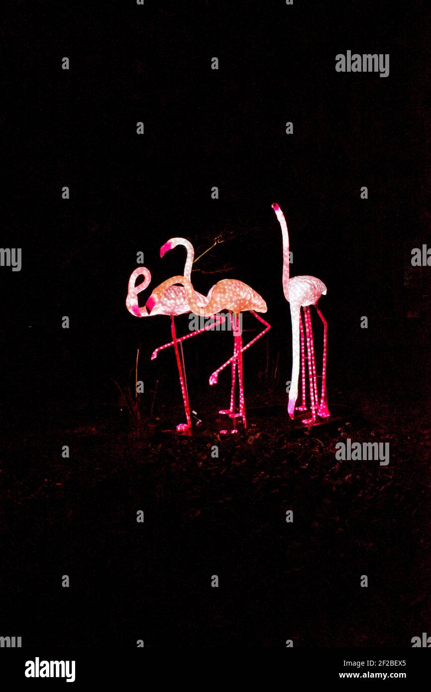 National zoological park hi-res stock photography and images - Alamy