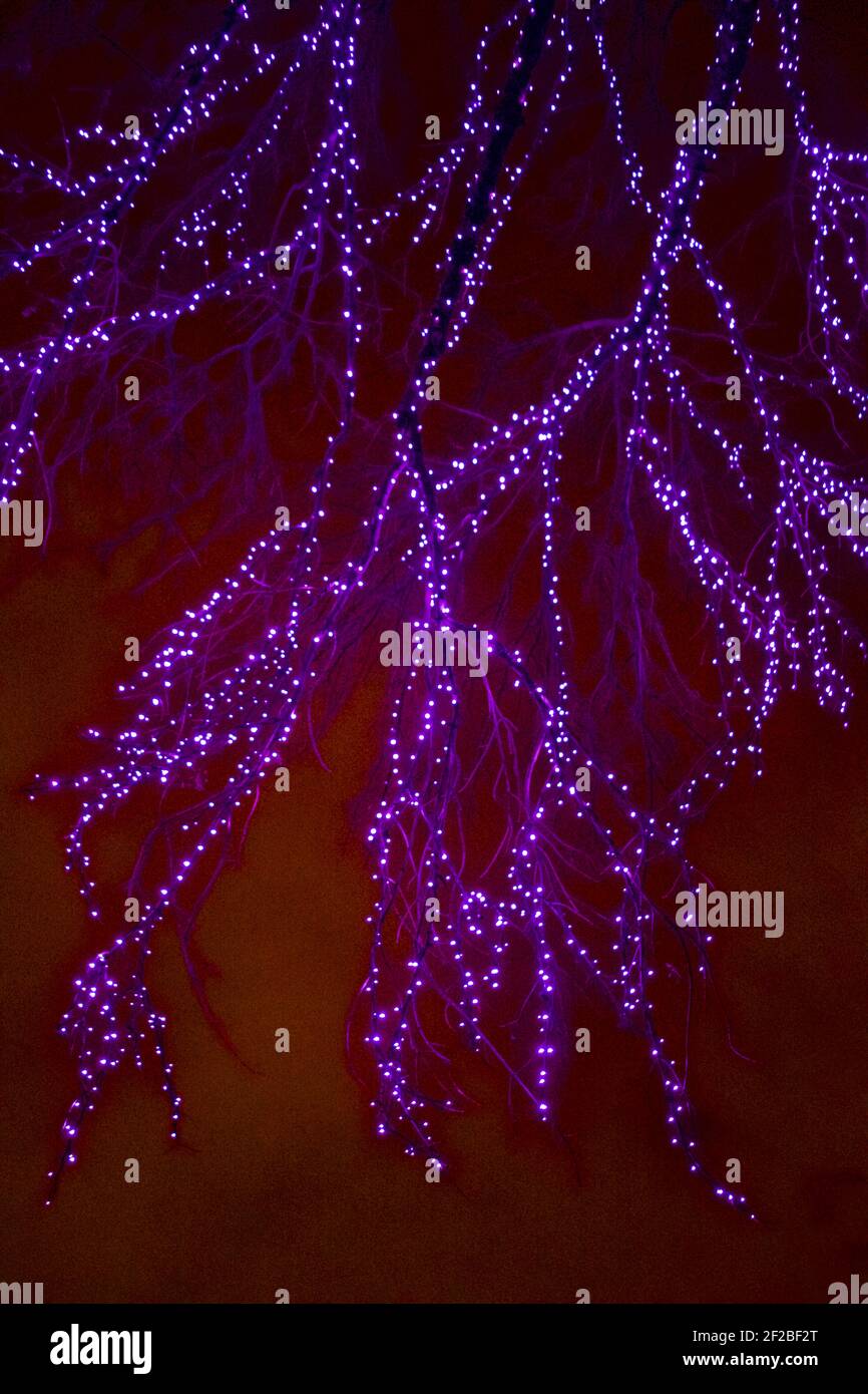 Zoo Lights night at the Smithsonian National Zoological Park in ...