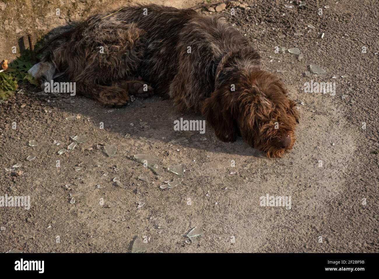 November 03 hi-res stock photography and images - Alamy