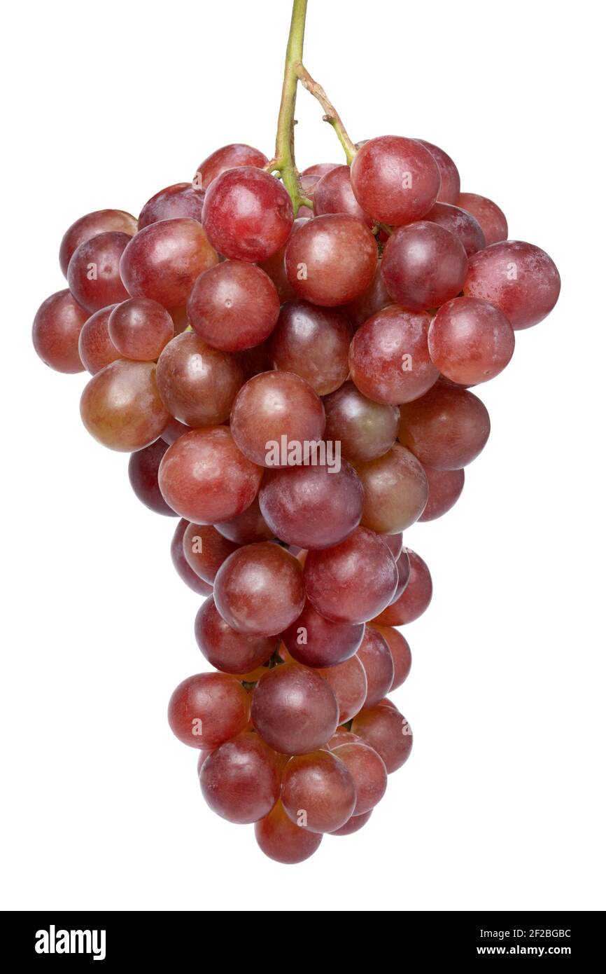 Close up red grapes hi-res stock photography and images - Alamy