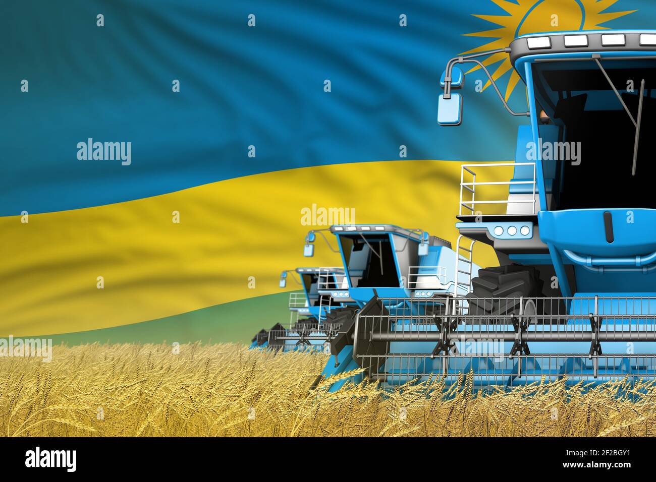 three blue modern combine harvesters with Rwanda flag on wheat field ...