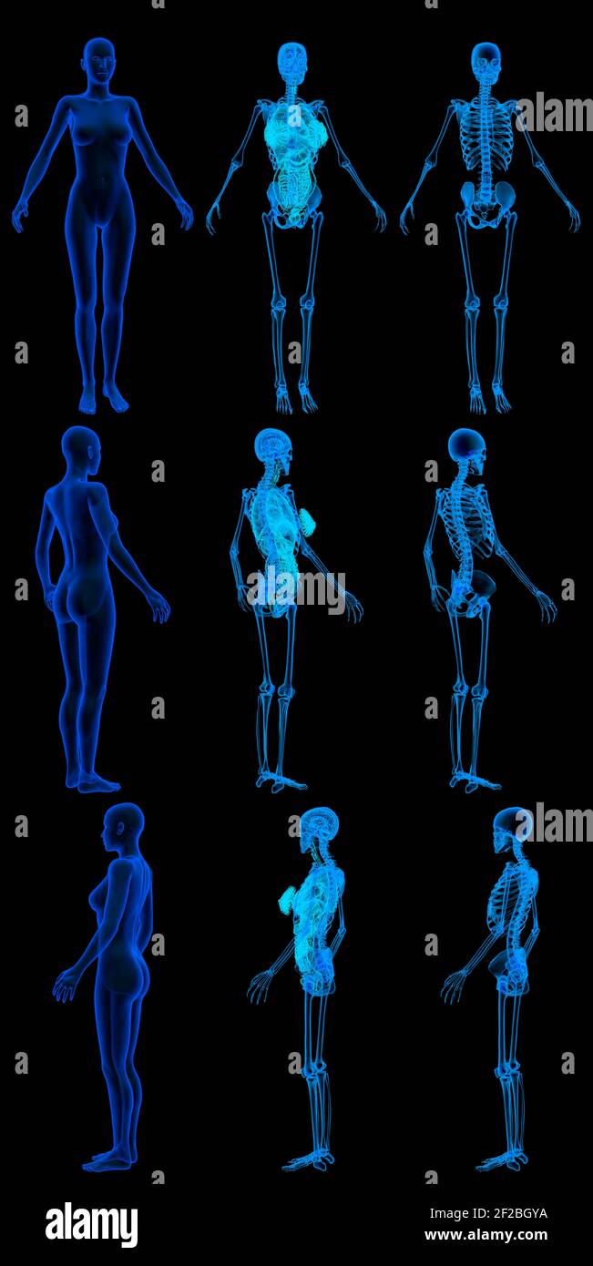 9 high resolution x-ray renders in 1 image, woman body with skeleton ...