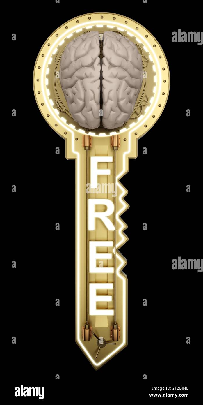 concept key with text free and brain. 3d rendering Stock Photo - Alamy
