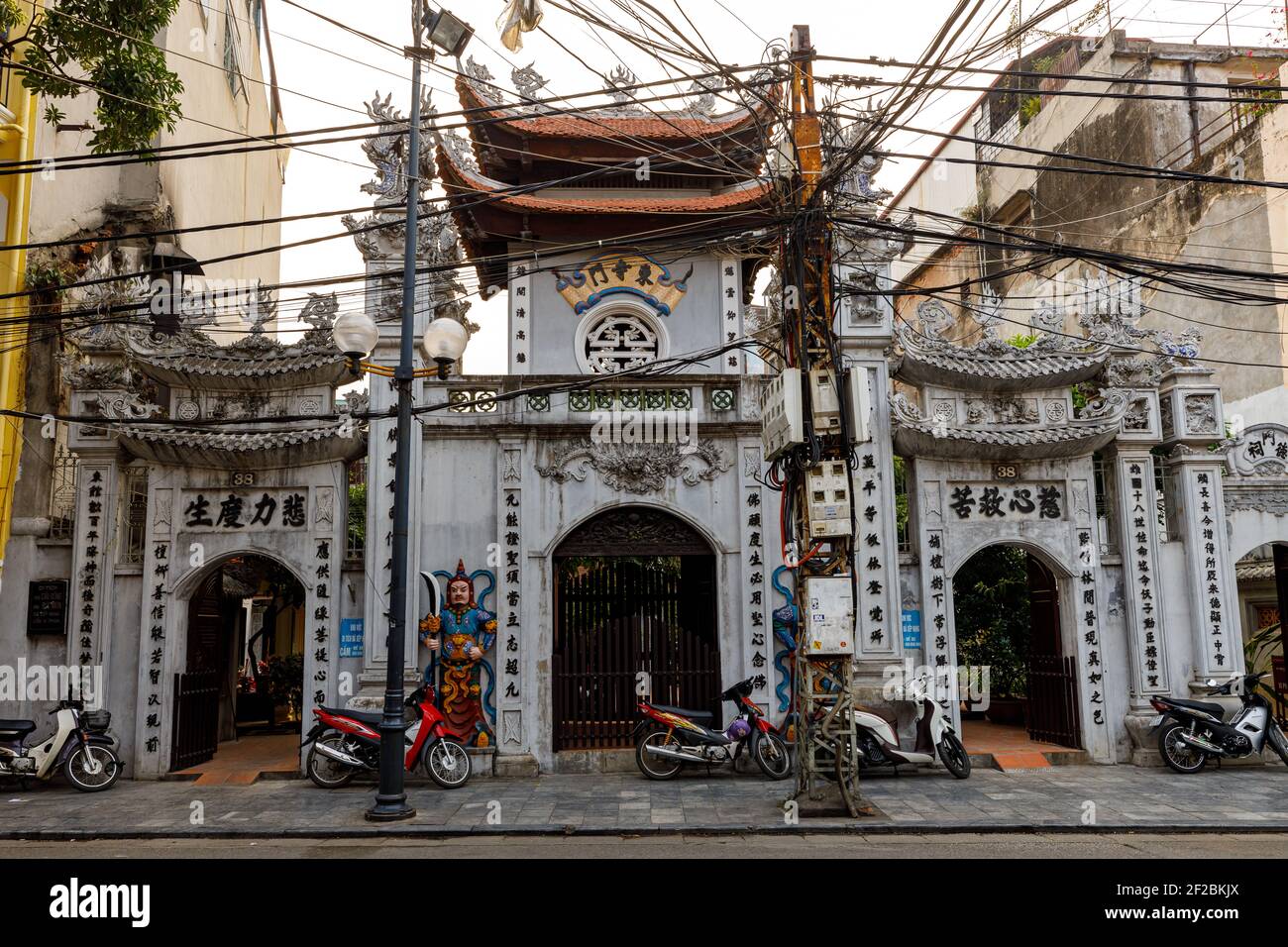 A falcon at the breeding cave Stock Photo - Alamy