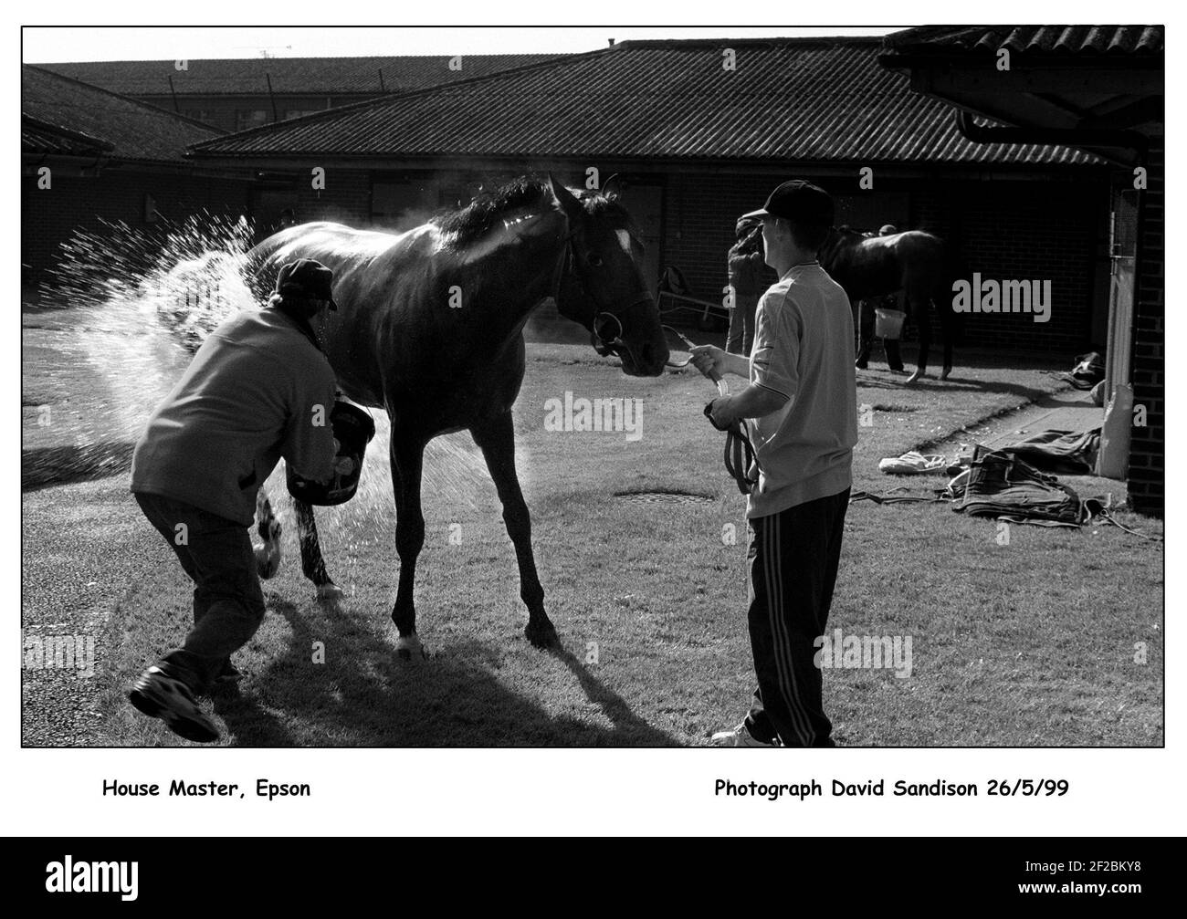 Racehorse stables hi-res stock photography and images - Alamy