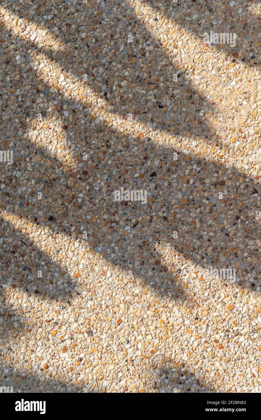 Natural leaves tree branch shadows and sunlight dappled on wall Stock ...