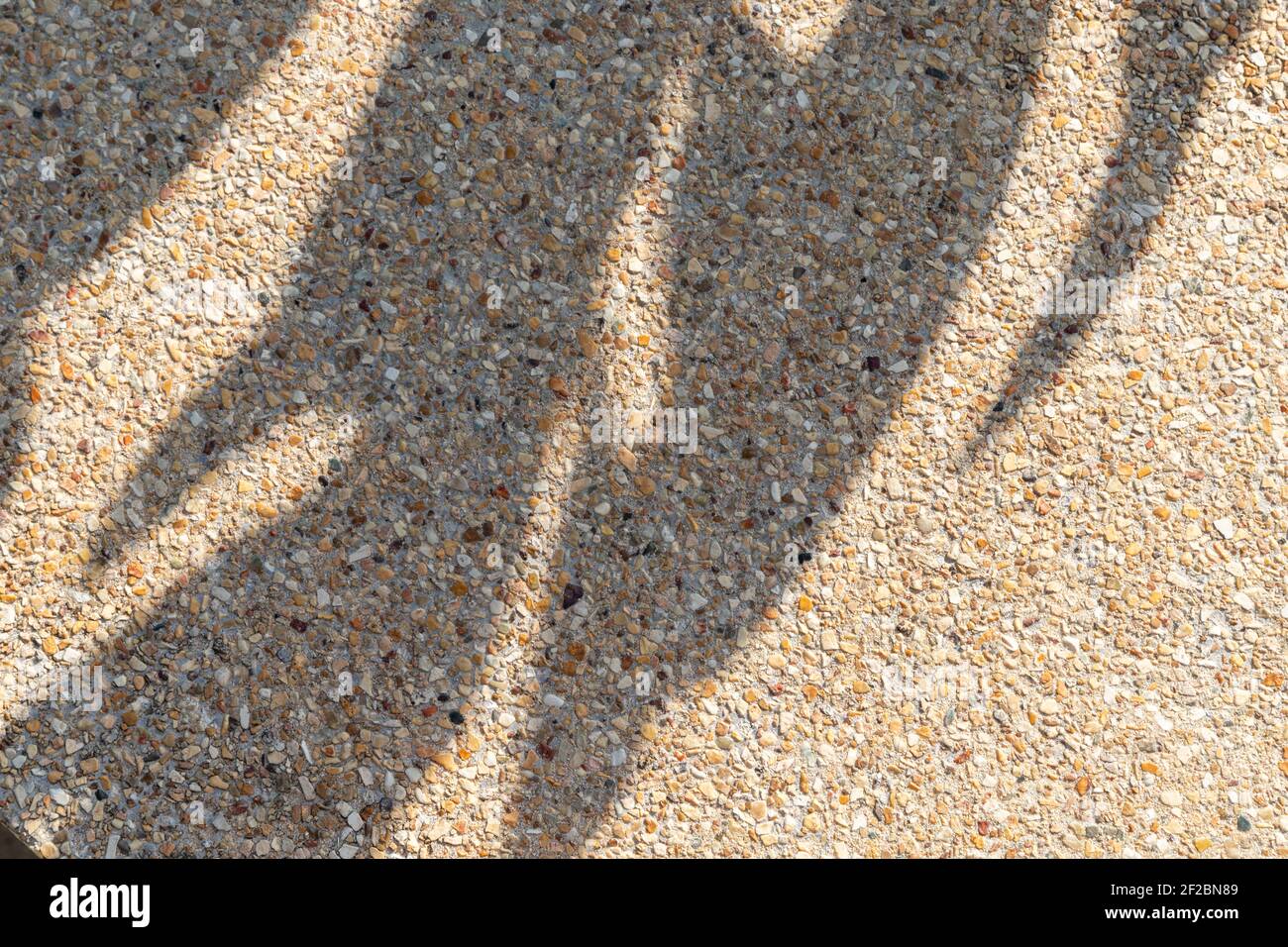 Natural leaves tree branch shadows and sunlight dappled on wall Stock ...