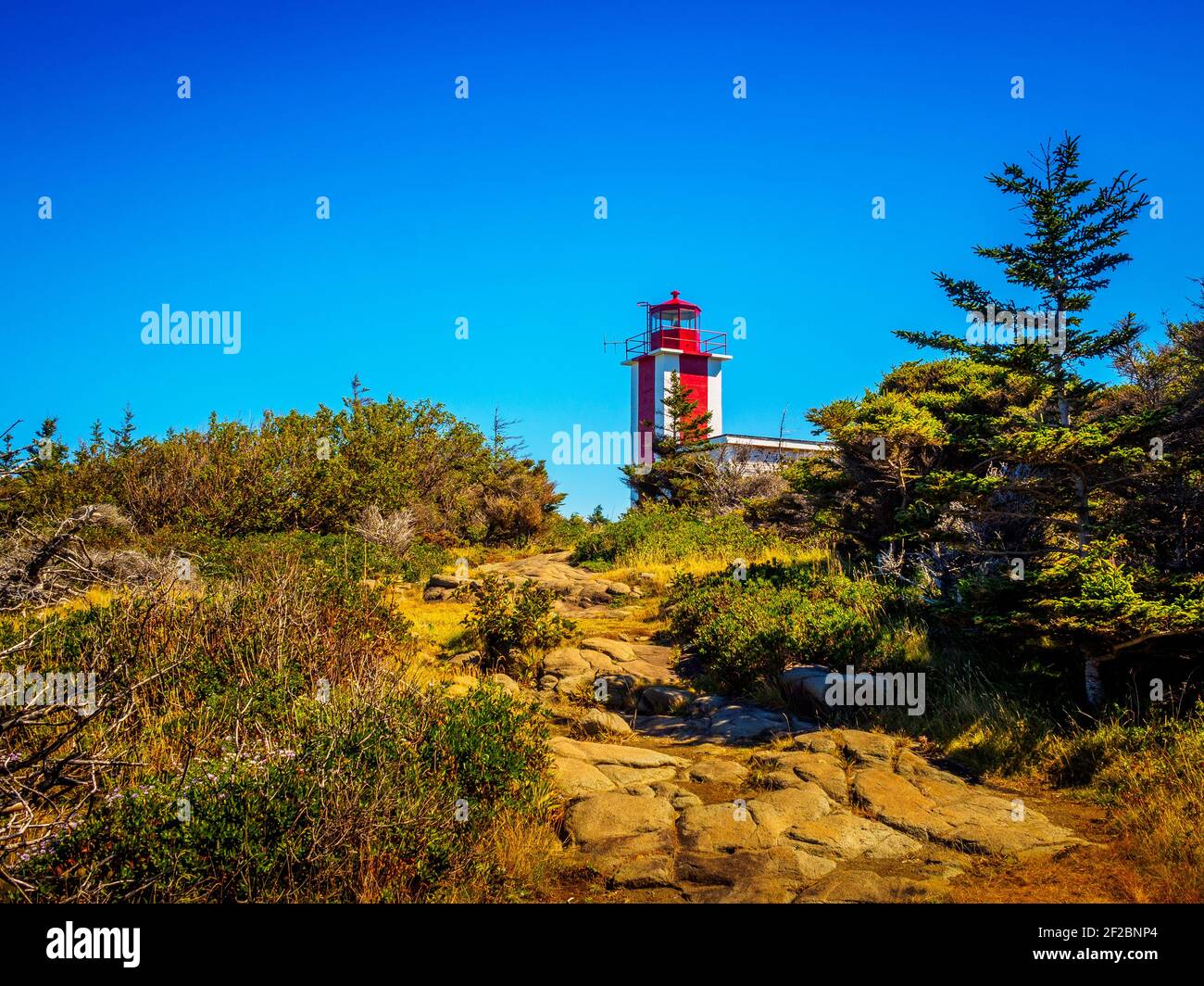 Prim point hi-res stock photography and images - Alamy