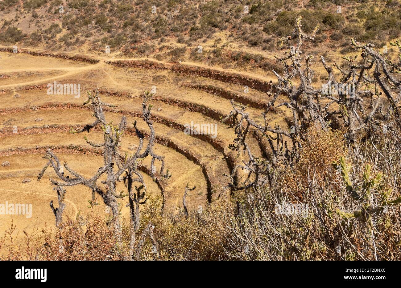 Agricultural Inca Terraces at Moray, probably a agricultural experiment ...