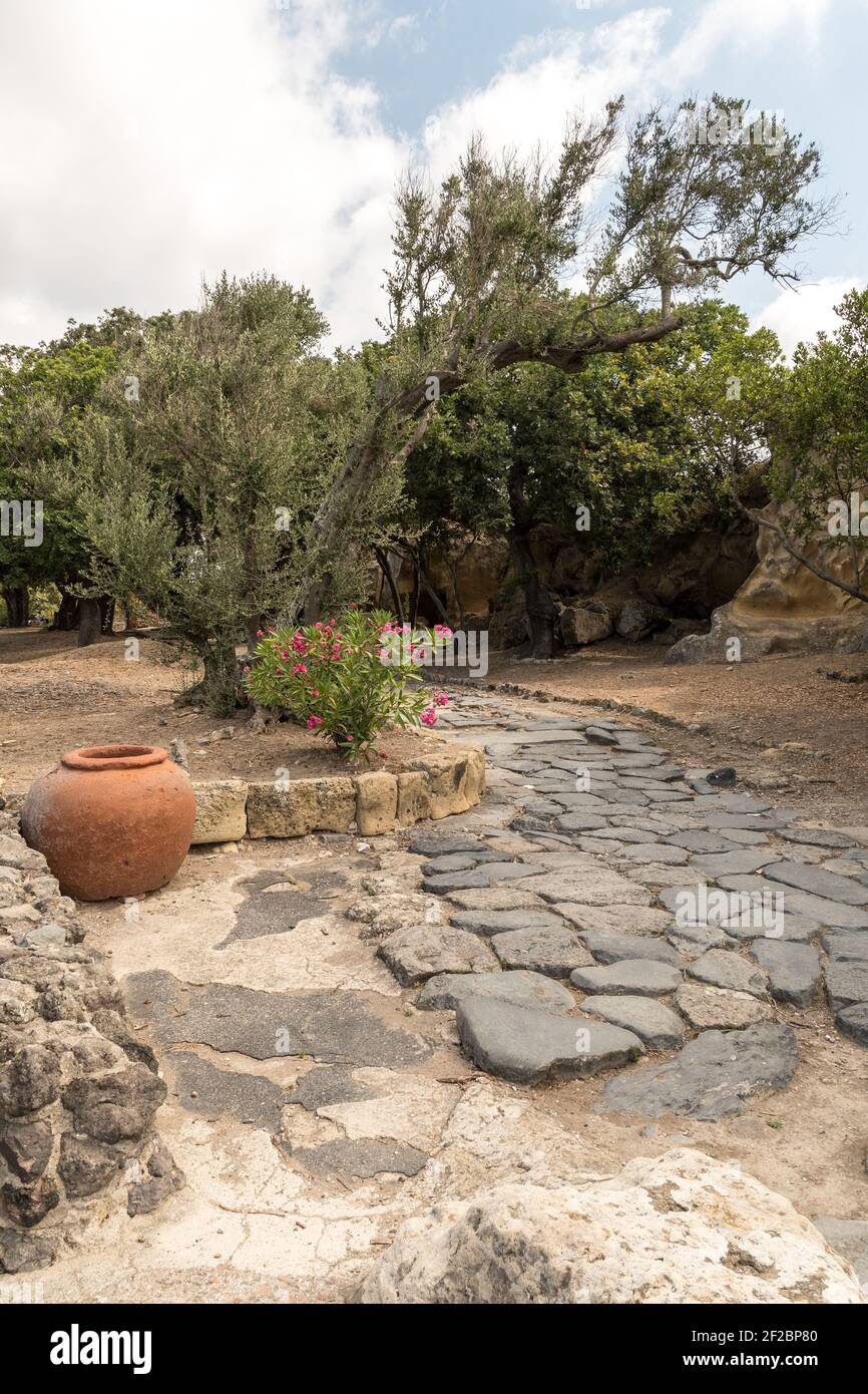 Ancient roman road in the archeological site of Cuma, Campania, Italy ...