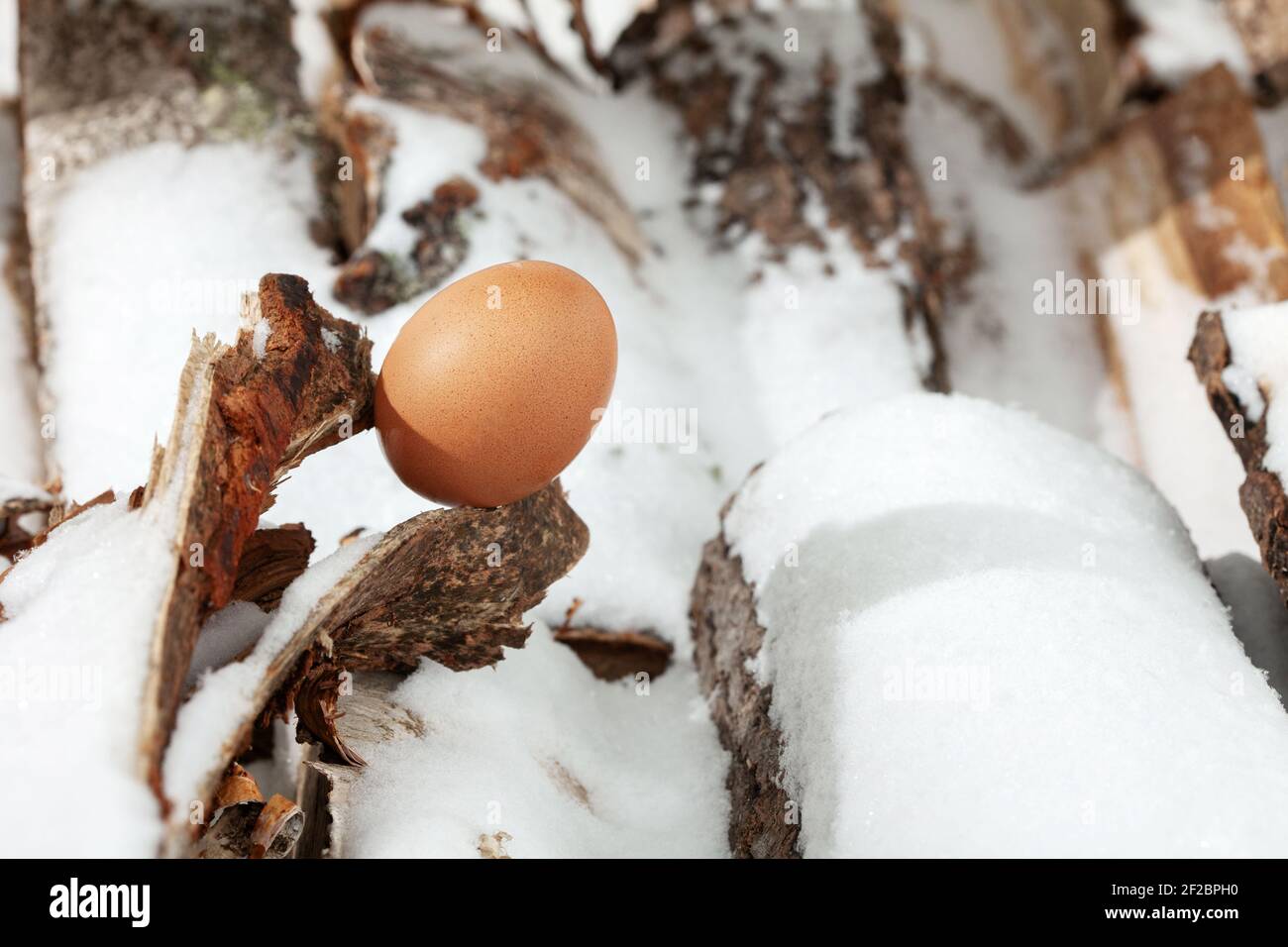 Chicken eggs in the snow. A modern composition about village life ...
