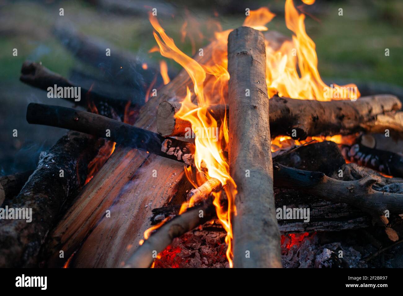 A selective focus shot of a bonfire Stock Photo - Alamy