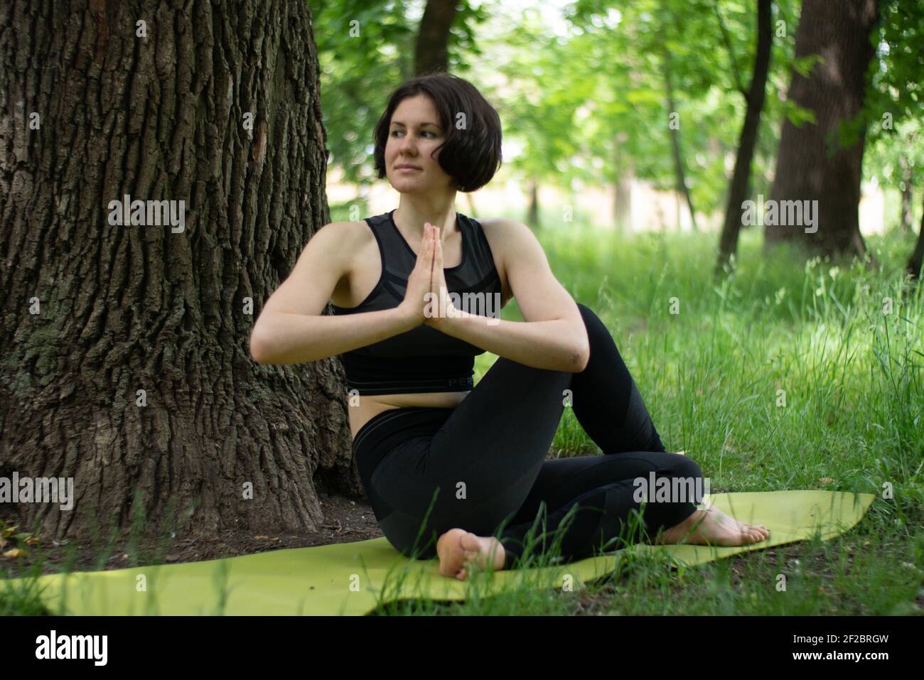 Tree vinyasa hi-res stock photography and images - Alamy