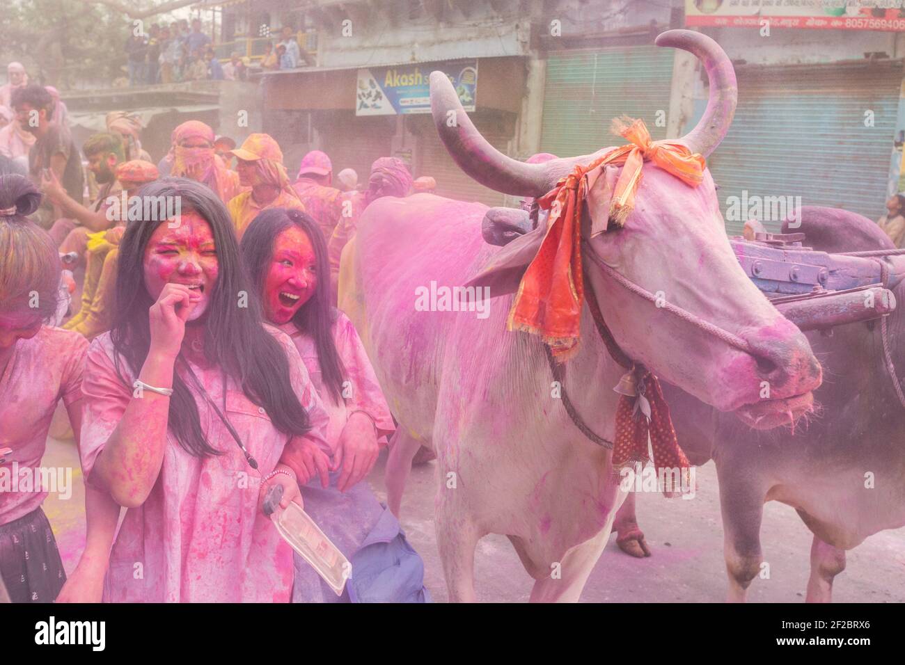 Women in mathura hi-res stock photography and images - Alamy