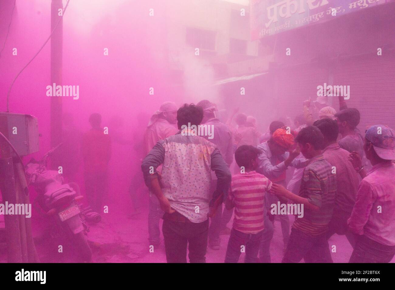 India, Mathura - Participants dance in a cloud of pink colored powder ...