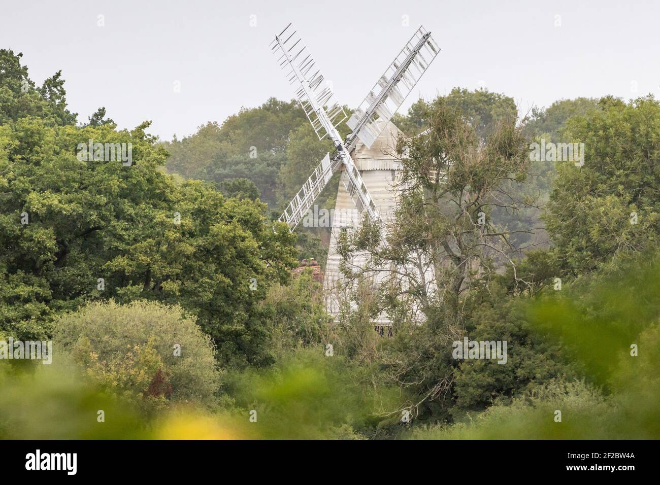 Shipley sussex hi-res stock photography and images - Alamy