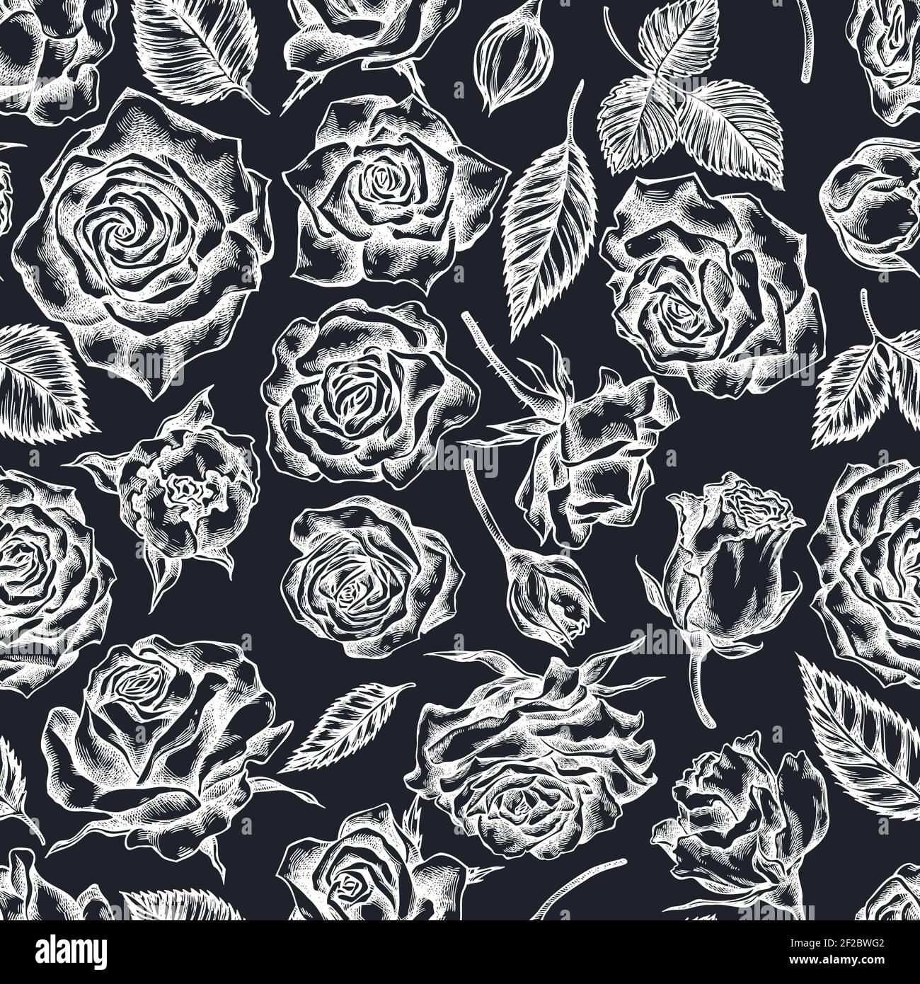 Seamless pattern with hand drawn chalk roses Stock Vector Image & Art ...