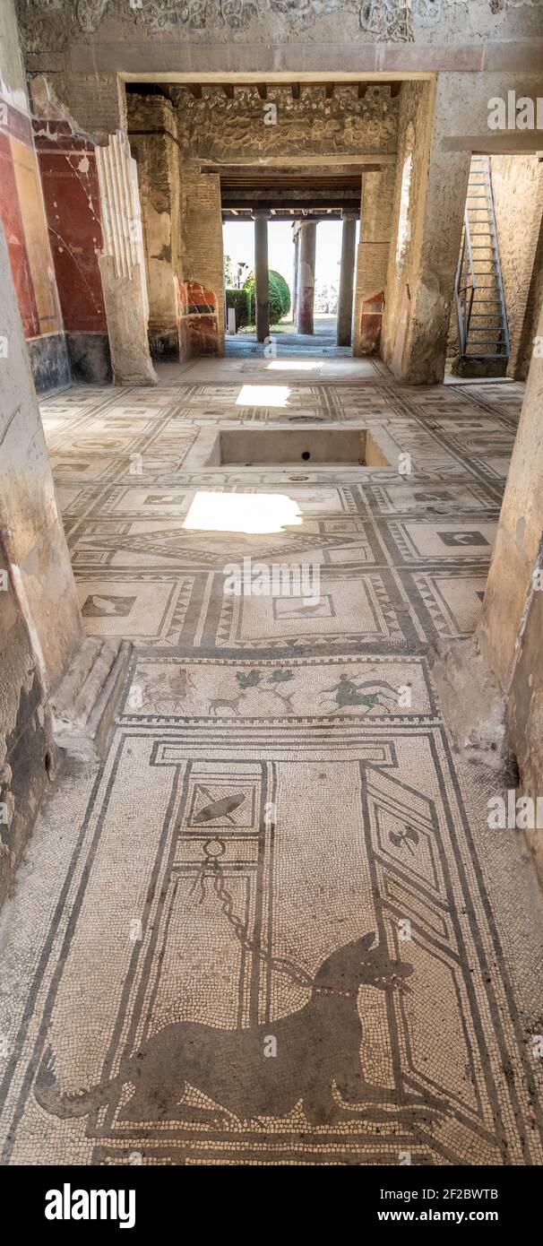 Casa del criptoportico(House of the Cryptoporticus) - Cave Canem ...