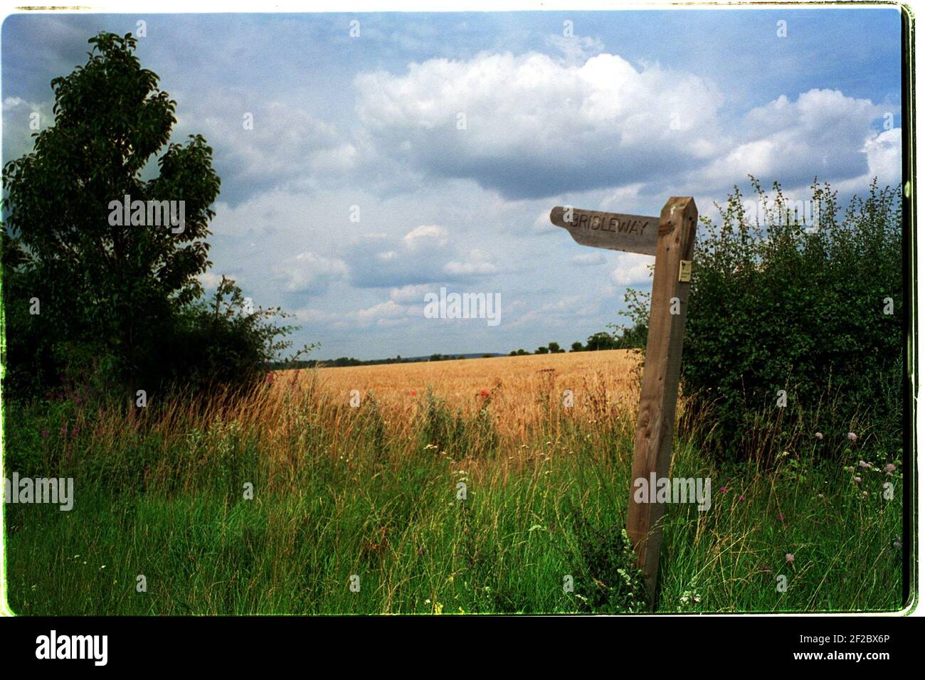 Field english hi-res stock photography and images - Alamy