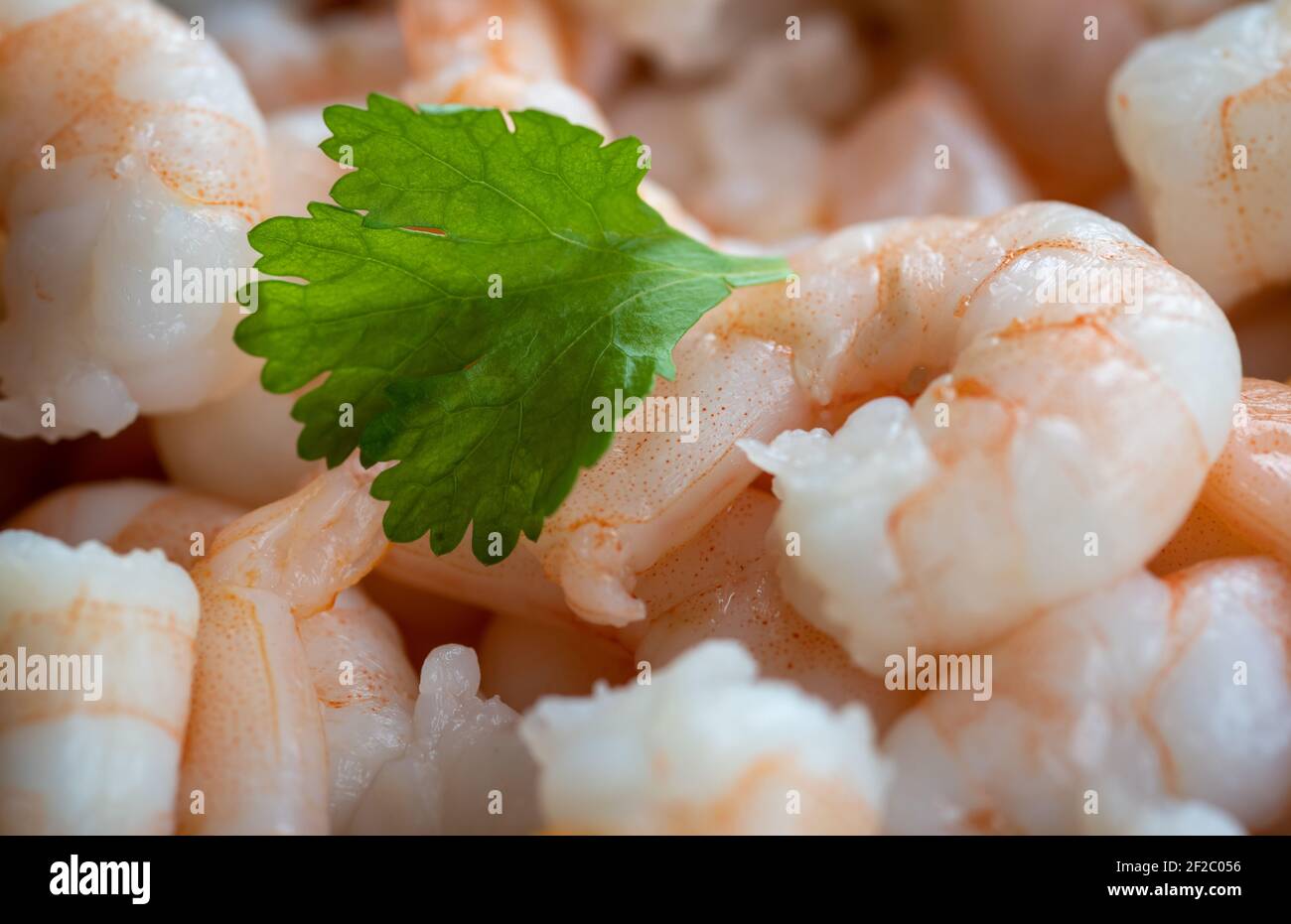 Tapas stock photography Stock Photo - Alamy