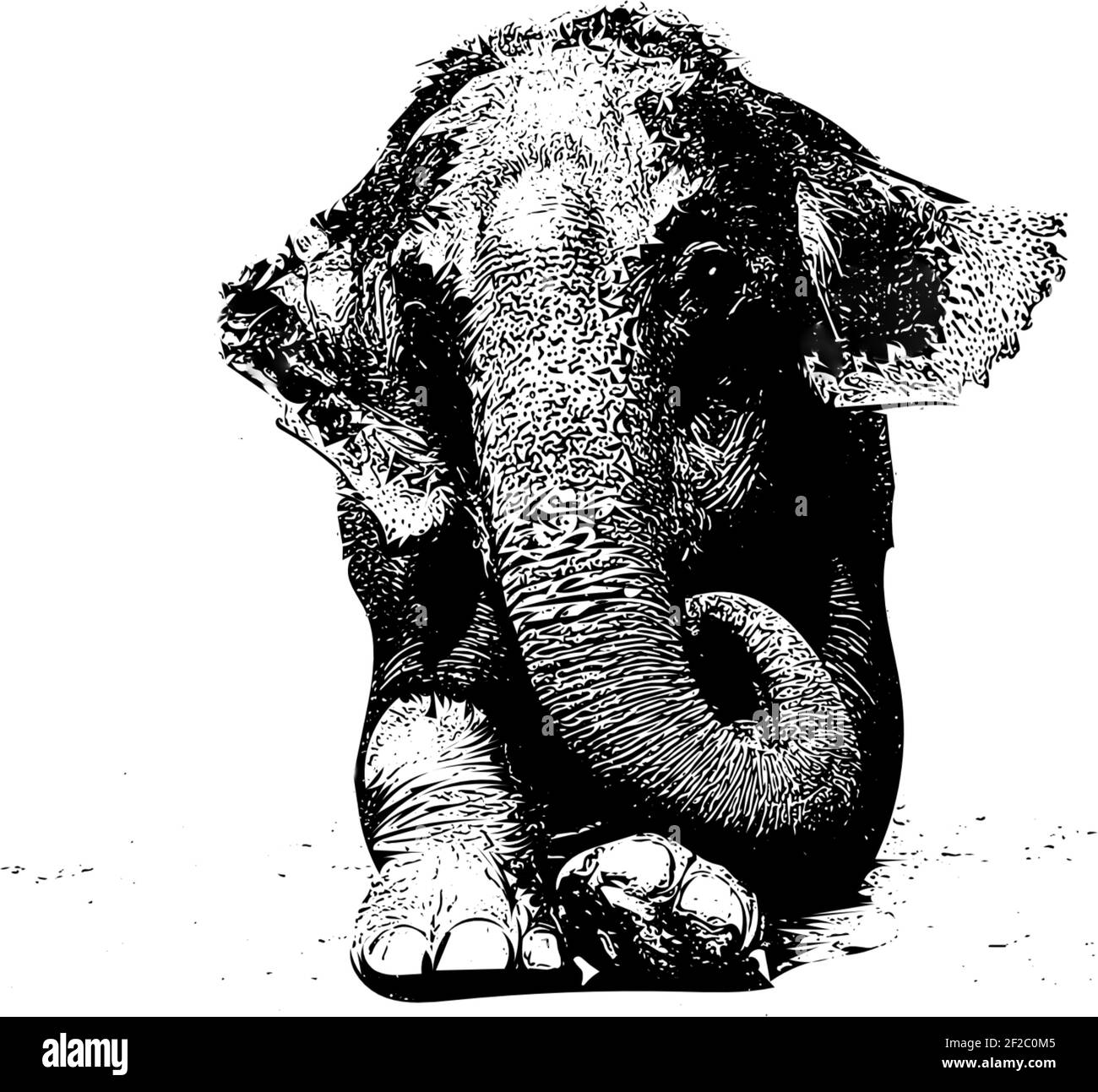 Asian elephant vector lying at the riverside of Chitwan National park ...