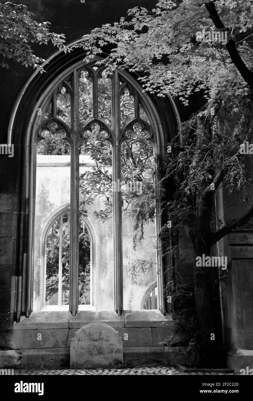 Gothic style windows in the Church of St Dunstan in the East, London ...
