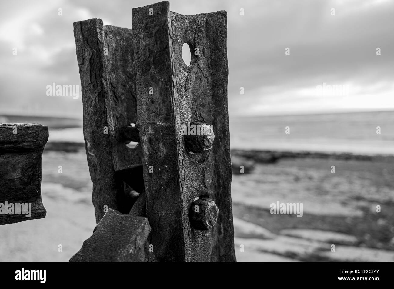 Sea things Black and White Stock Photos & Images - Alamy