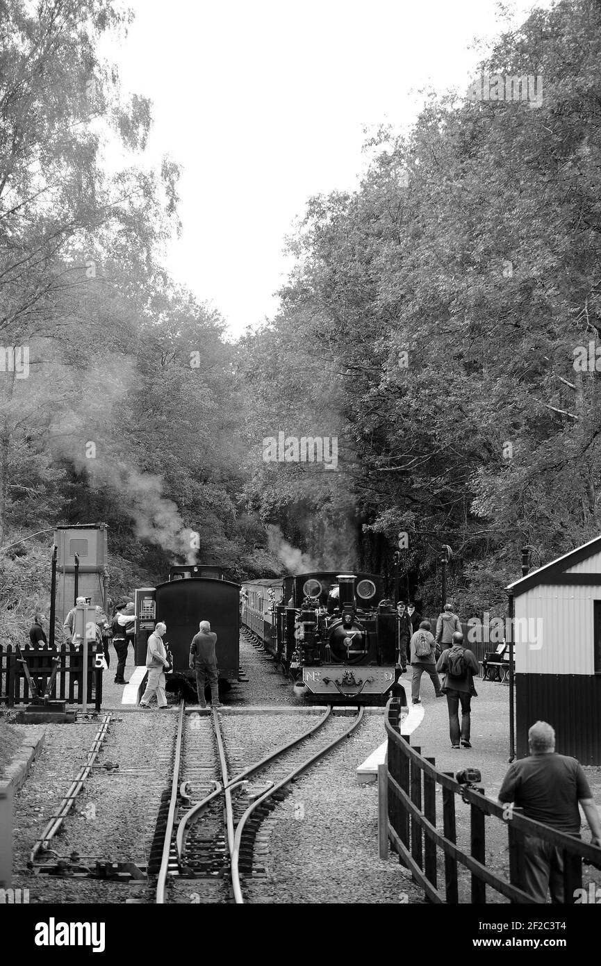 "Prince of Wales" and No. 8 ("Llywelyn") at Aberffrwd crossed by a down ...