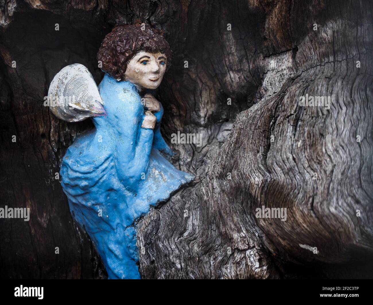 Elfin oak hi-res stock photography and images - Alamy
