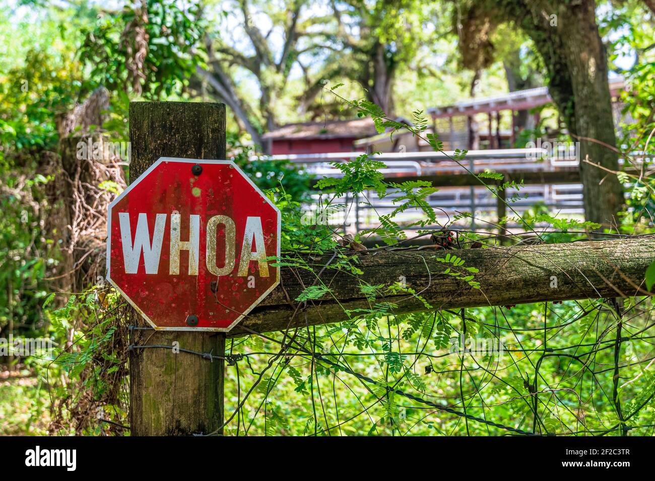 Whoa sign shaped like a stop sign, on fence in front of horse ranch ...