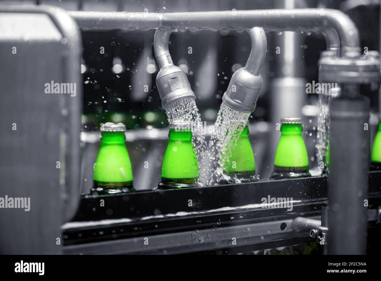 The process of filling beer into bottles on a production conveyor line ...