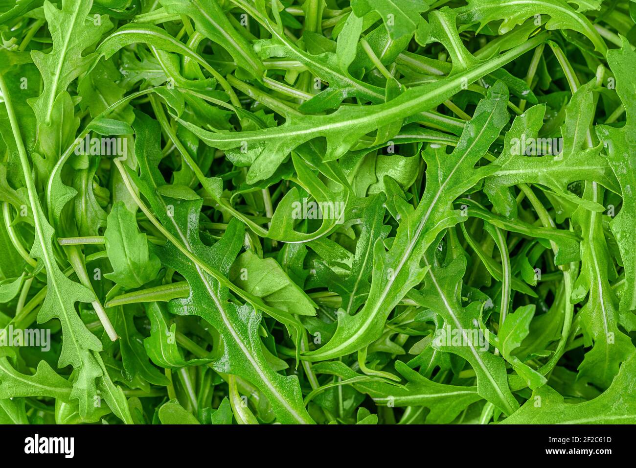 Arugula texture. Healthy food background, directly above Stock Photo ...