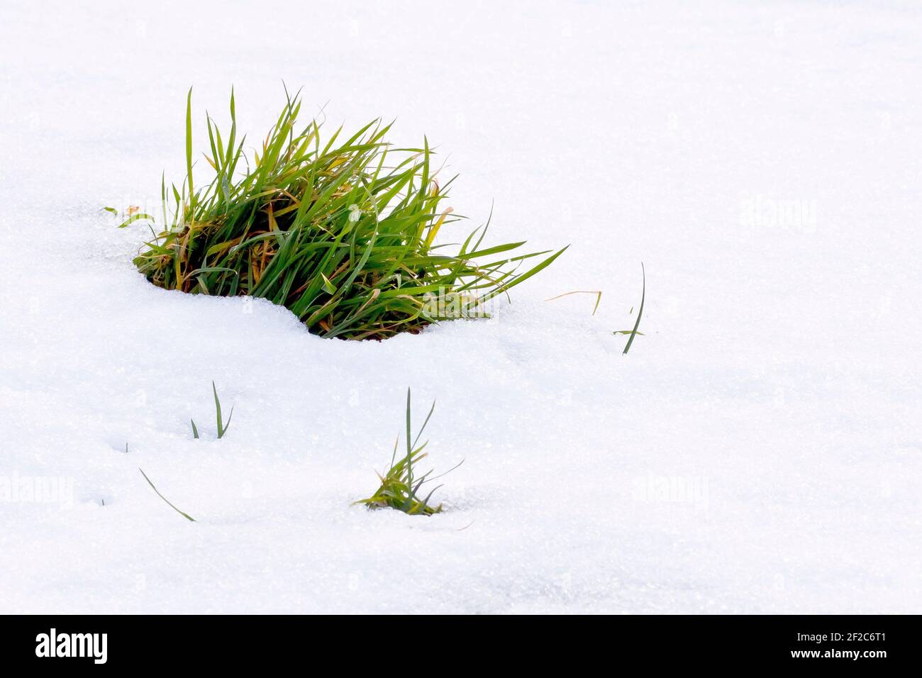 Reappear hi-res stock photography and images - Alamy