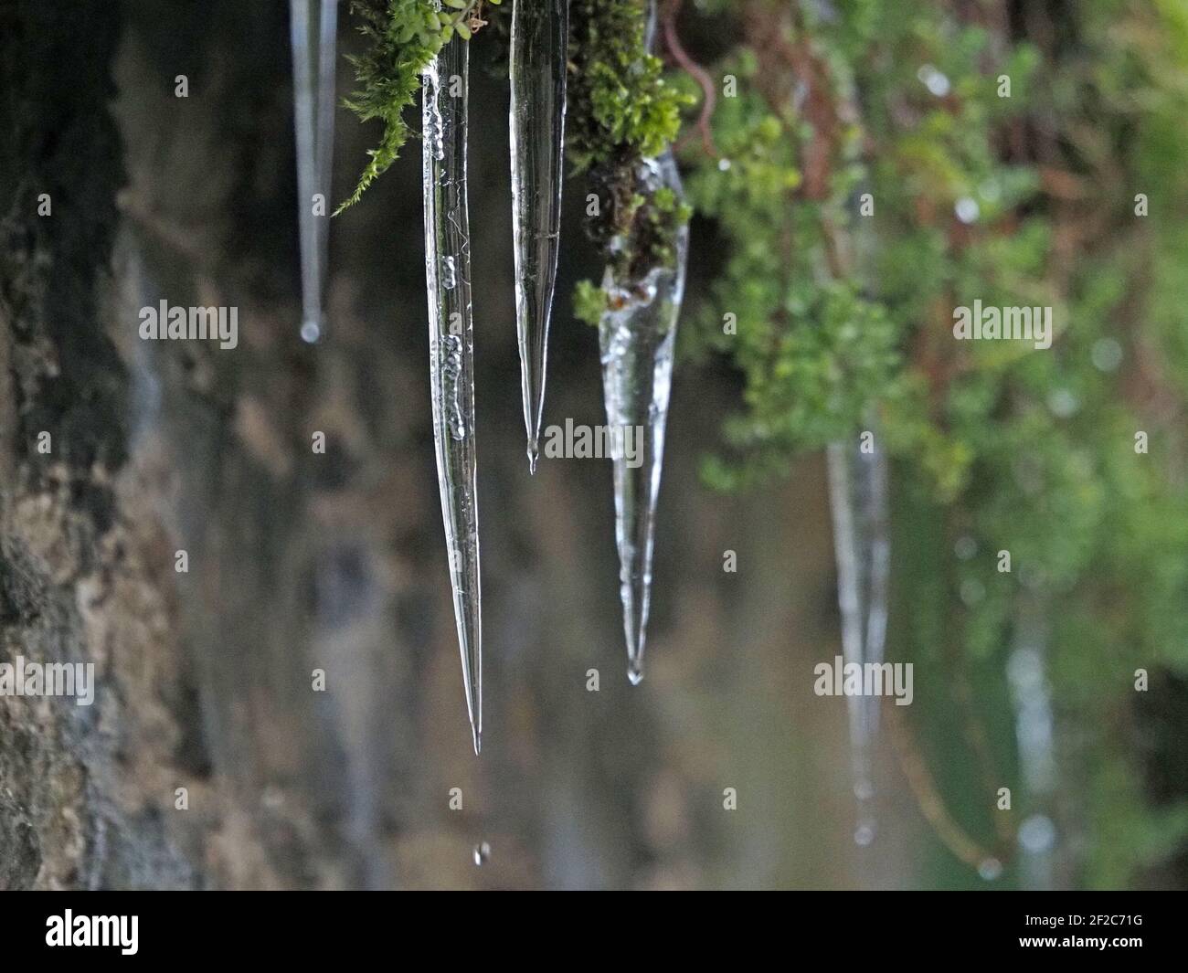 Frozen tips hi-res stock photography and images - Alamy