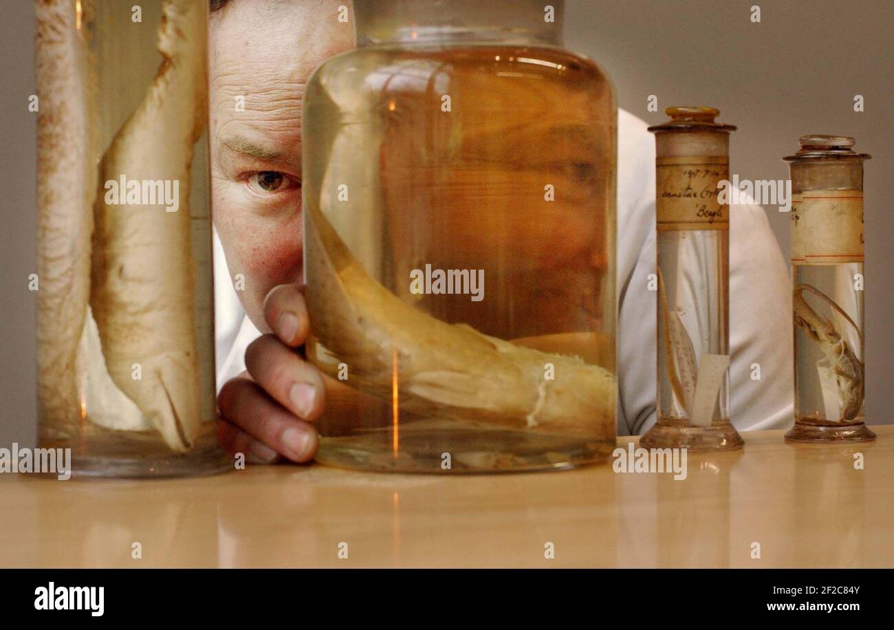 TO MARK THE ANNIVERSARY OF DARWINS BIRTH OLIVER CRIMMEN,FISH CURATOR AT ...