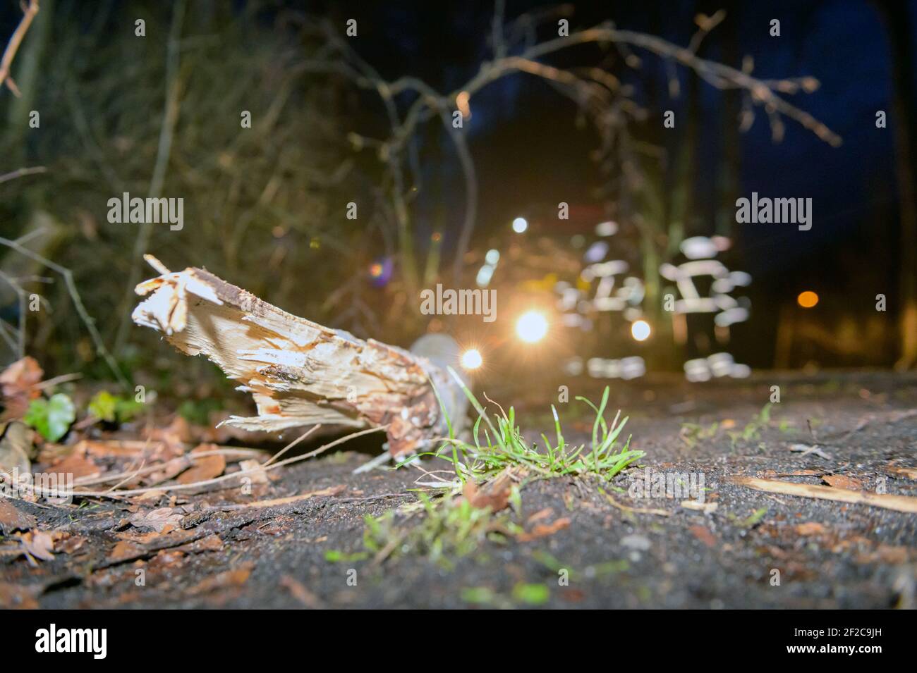 Fallen trees railway hi-res stock photography and images - Alamy