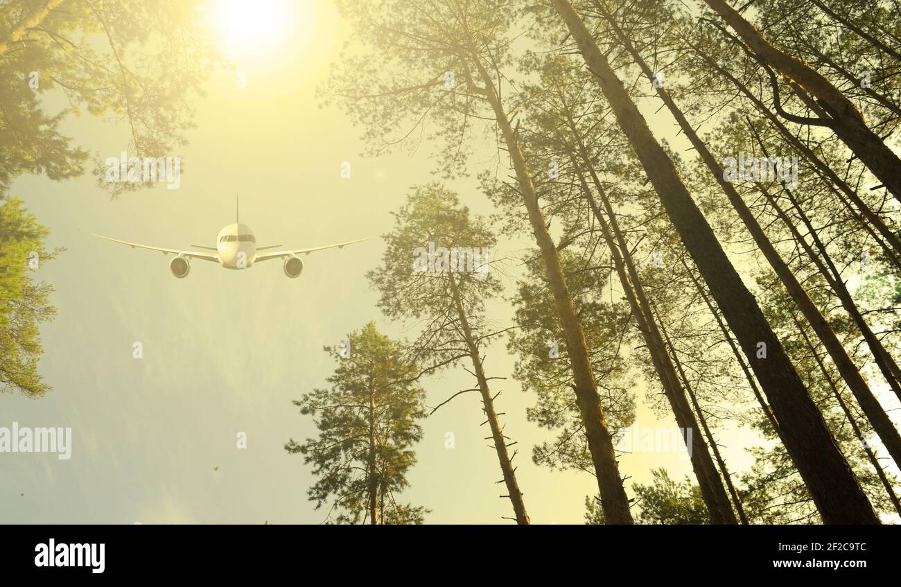 Airplane through trees hi-res stock photography and images - Alamy