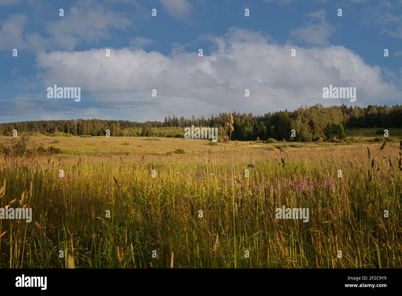 Building ships sign in hi-res stock photography and images - Alamy