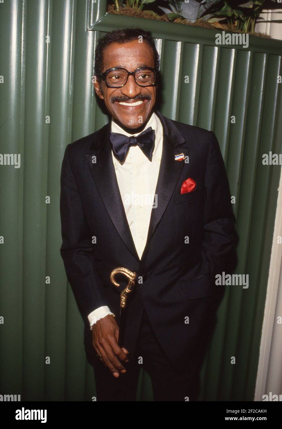 Sammy Davis Jr. Circa 1980's Credit: Ralph Dominguez/MediaPunch Stock ...