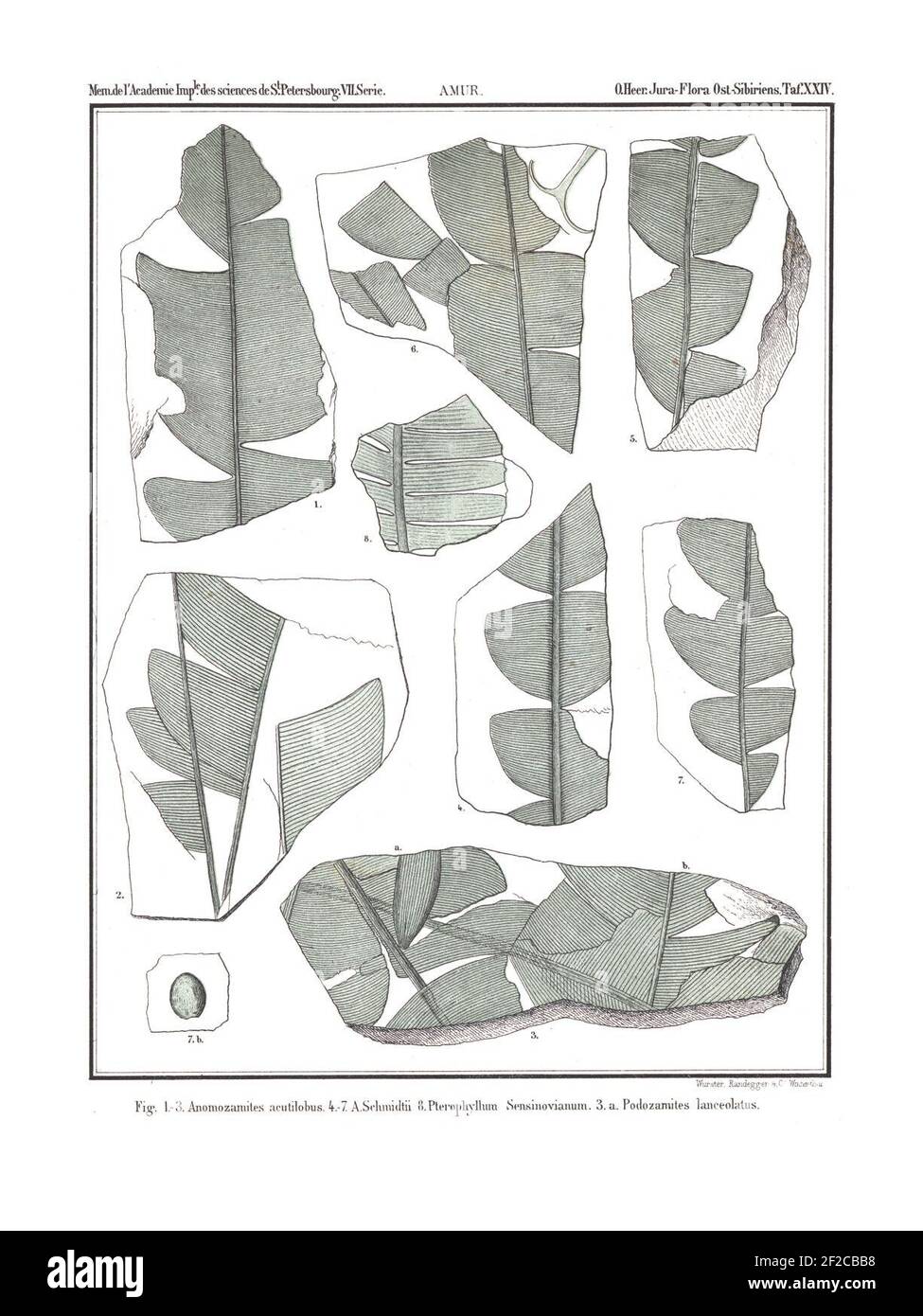 389 4 hi-res stock photography and images - Alamy