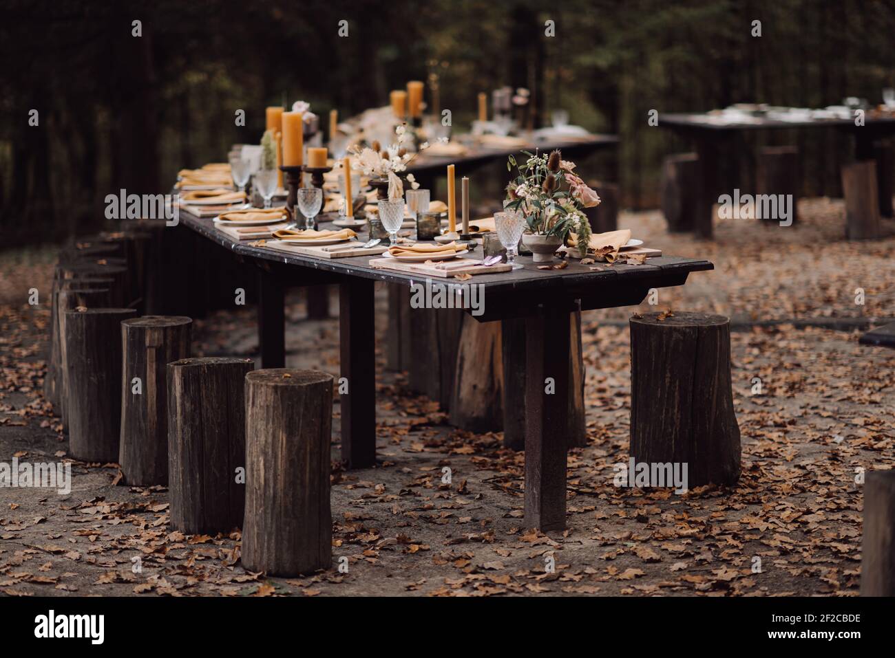 A beautifully designed wedding table in the forest Stock Photo - Alamy