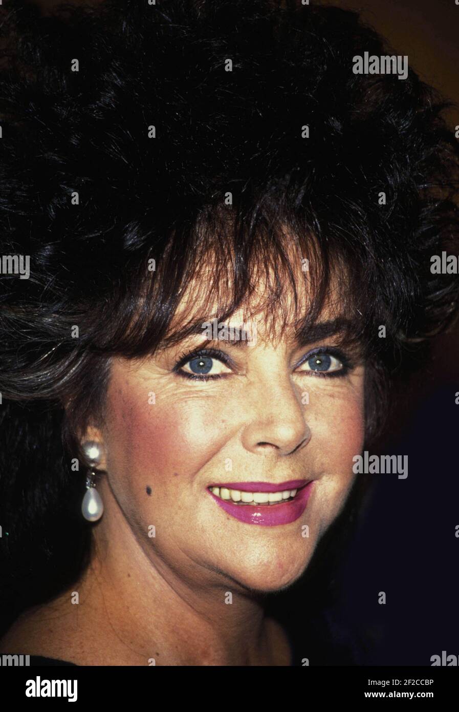 Elizabeth scull hi-res stock photography and images - Alamy