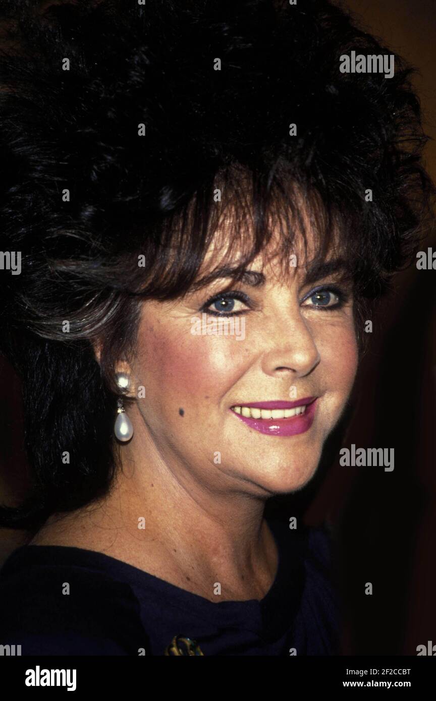 Elizabeth scull hi-res stock photography and images - Alamy