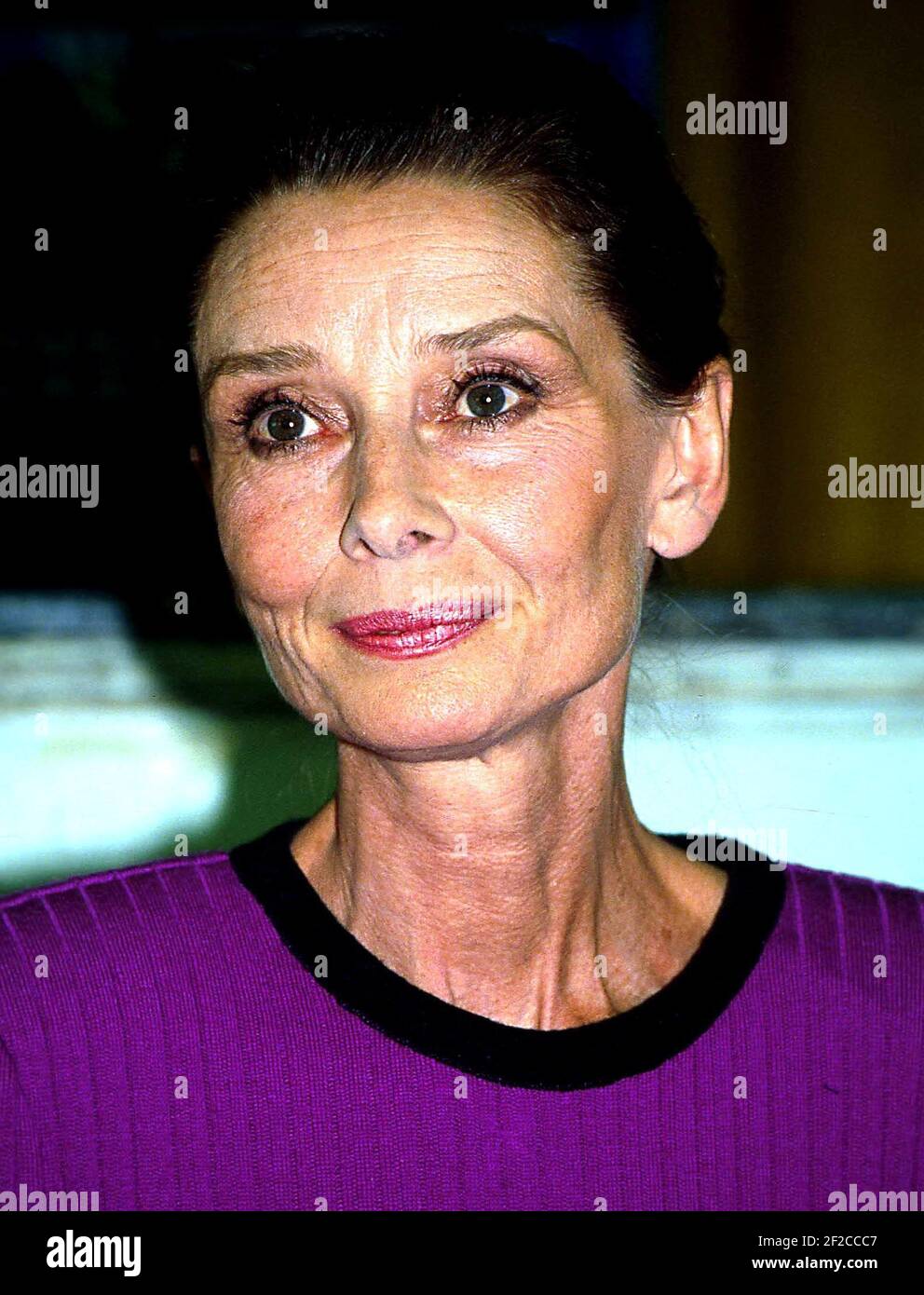 Audrey Hepburn 1989 Photo By Adam Scull Photolink Mediapunch Stock