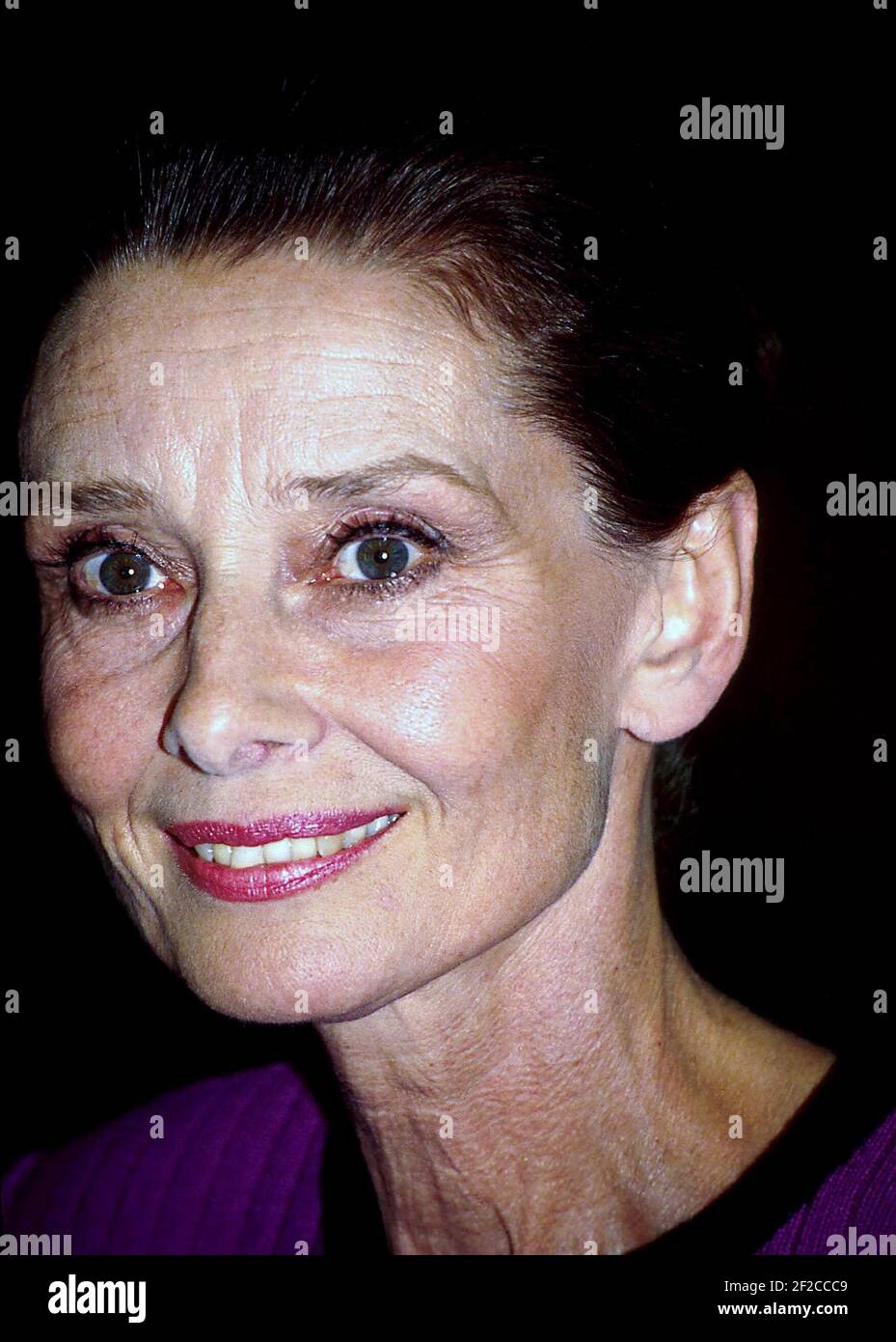 Audrey Hepburn 1989 Photo By Adam Scull Photolink Mediapunch Stock