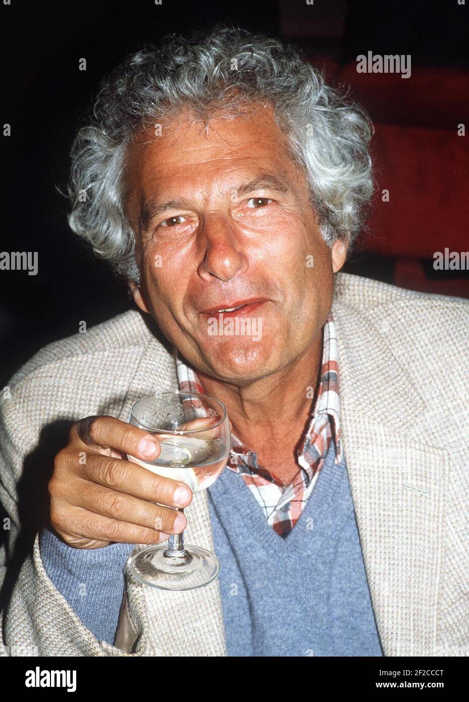 Joseph Heller 1981 Photo By Adam Scull/PHOTOlink /MediaPunch Stock ...