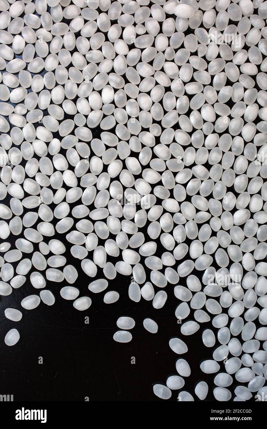 Japan/Hyogo prefecture/Producing Japanese sake/ Rice Milling. Using a ...